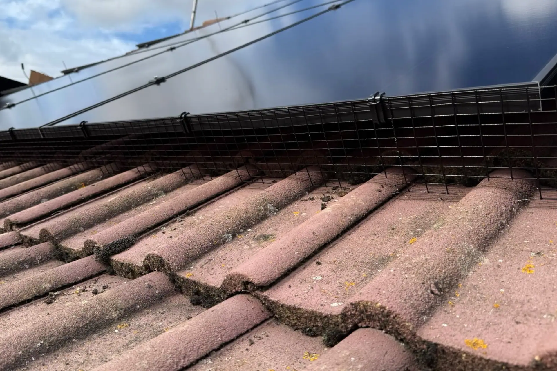 Solar Energy Companies in Kent - 5 Things You Need Know
